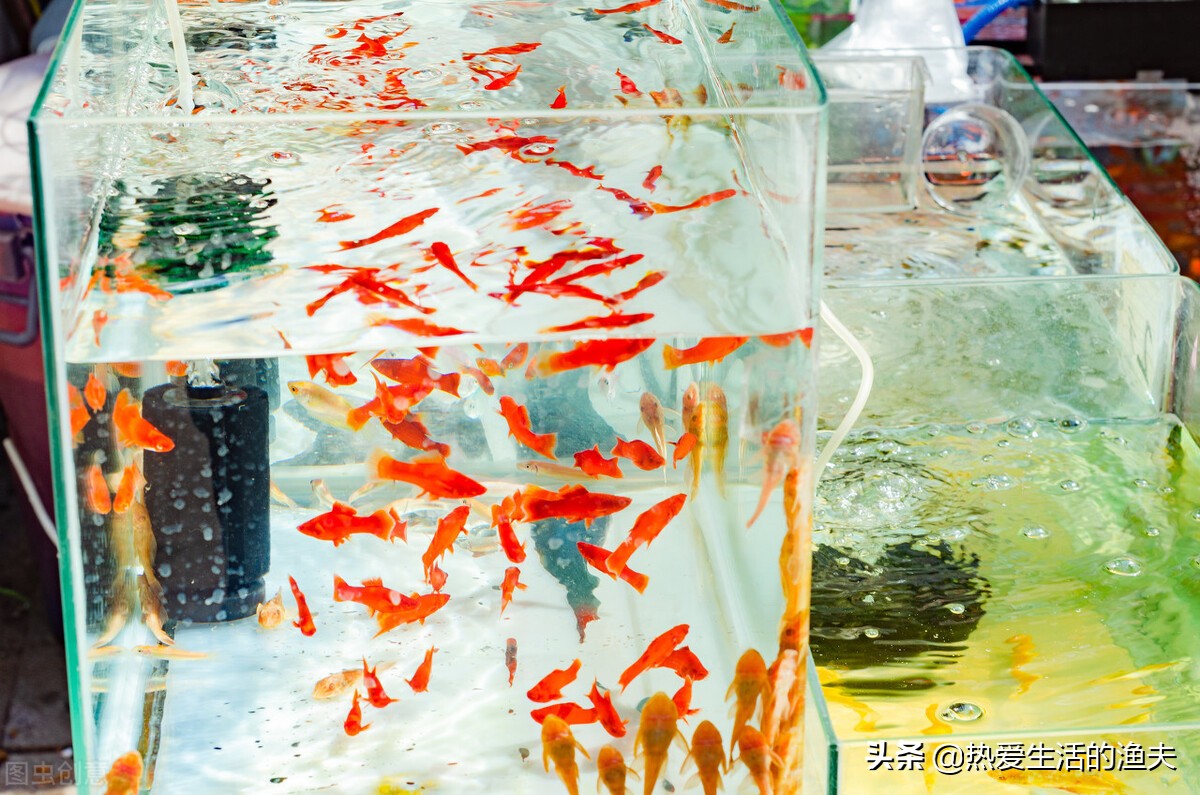 I feel that the red arrow is very fragile. After reading this article ...