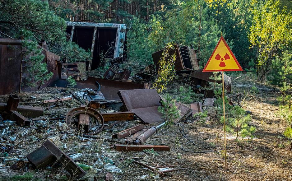 It is said that the flora and fauna near the Chernobyl nuclear power ...