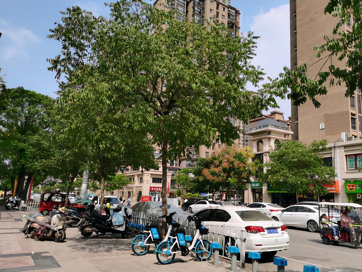 A characteristic street running through Xuhai Road, Heping Road, Xuzhou ...