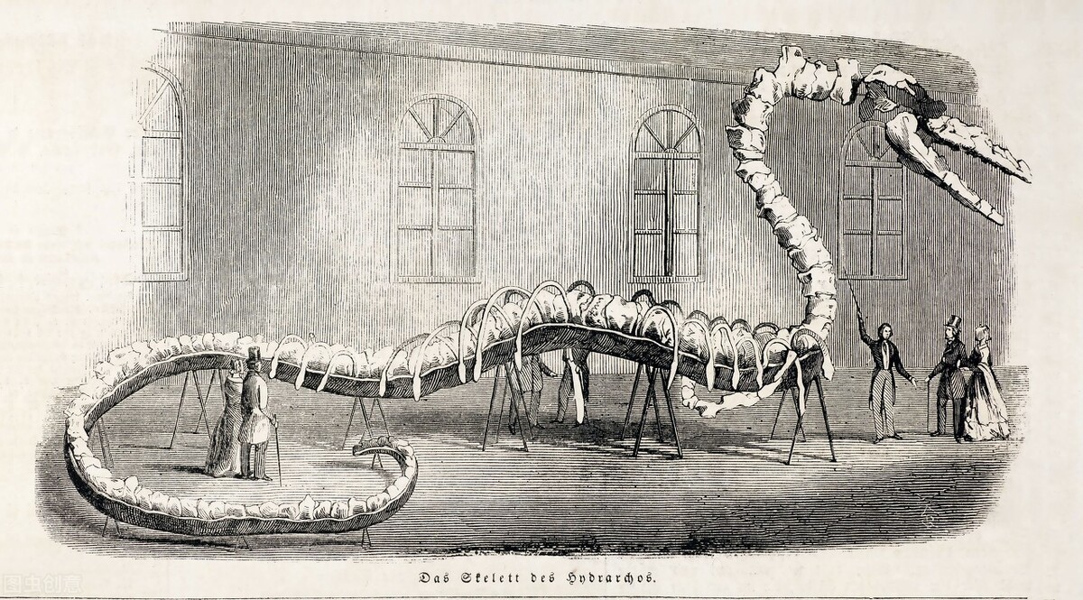 The legend of the ocean python - iNEWS