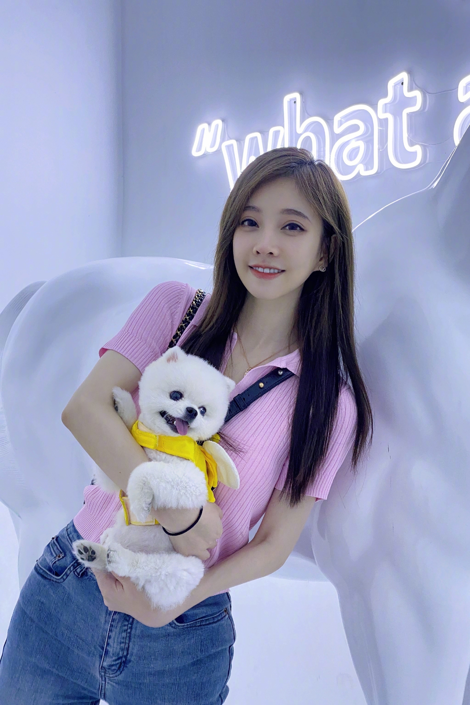 Feng Timo likes to set up real hammers for pets, and take selfies for ...