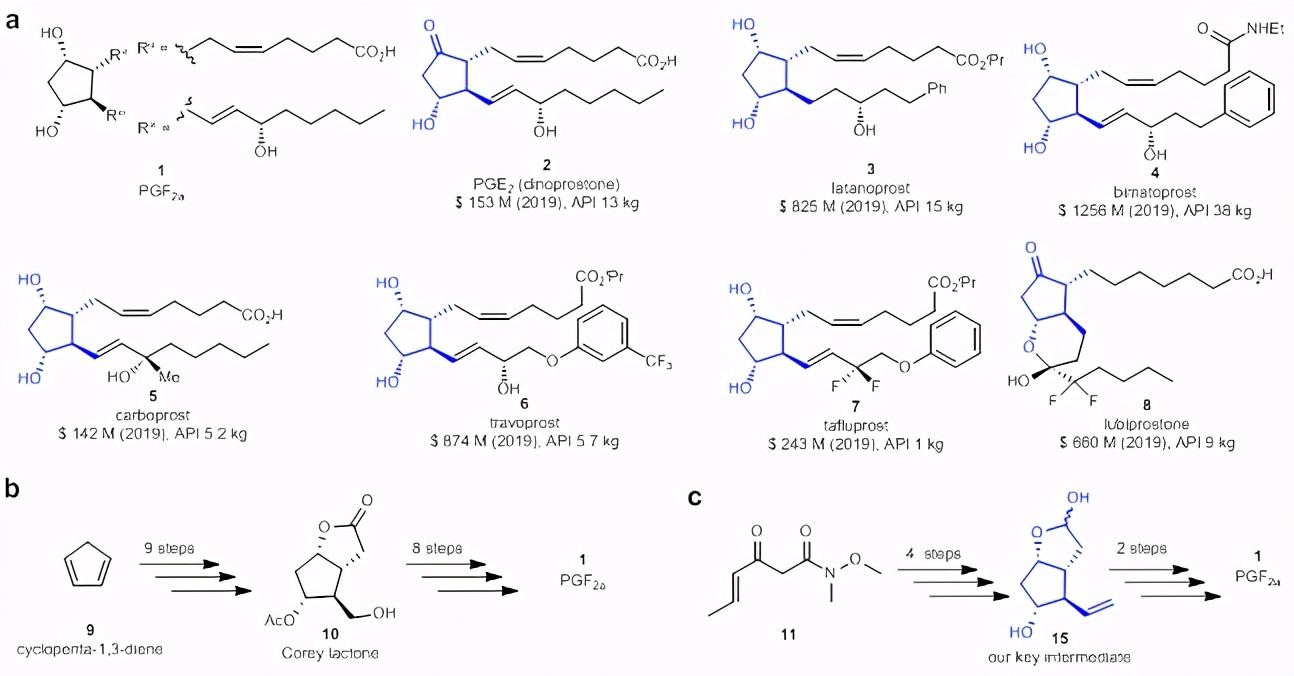 SUSTech Zhang Xumu's team has made research progress in the field of ...