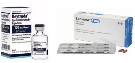 Endometrial cancer treatment!US FDA approves Kerida + Levima ...
