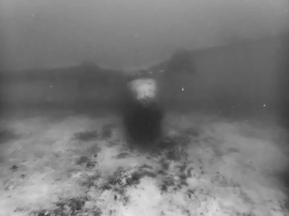 After watching this group of photos: "deep sea phobia" has completely ...