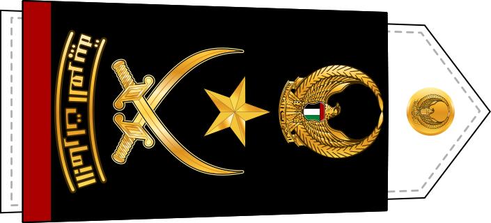 Military rank identification of each country: UAE - iNEWS