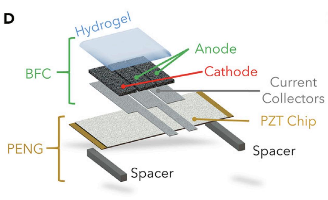 Hand sweat achieves "freedom of power generation"?Young people have ...