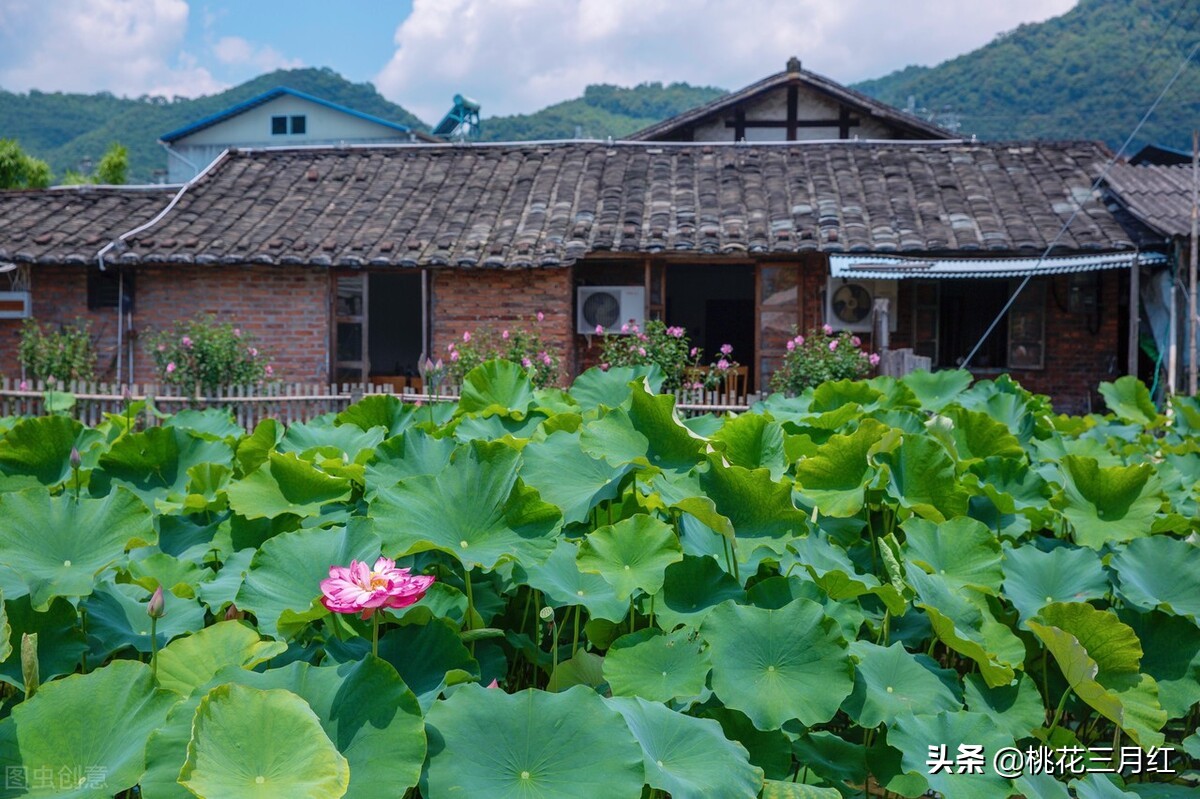 Luoyuan Bridge: Beautiful and quiet rural scenery - iMedia