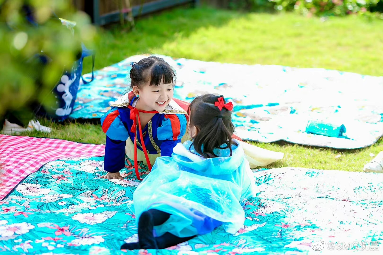 SMG host Yujia Sun cuts rice with her child in the fields, and her ...