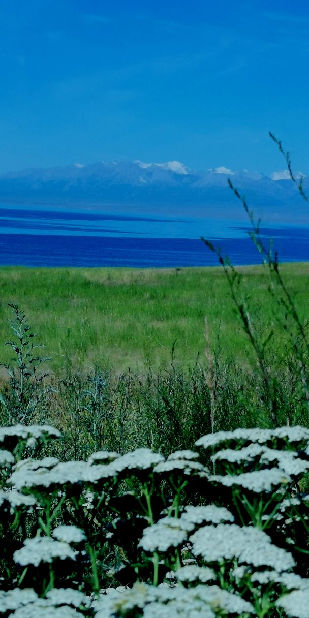 Sailimu Lake in Xinjiang "the last tear of the Atlantic Ocean" - iNEWS