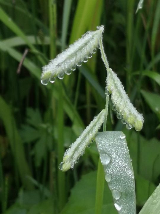 "Tao De Jing": Love is surging, and love warms the world - iNEWS