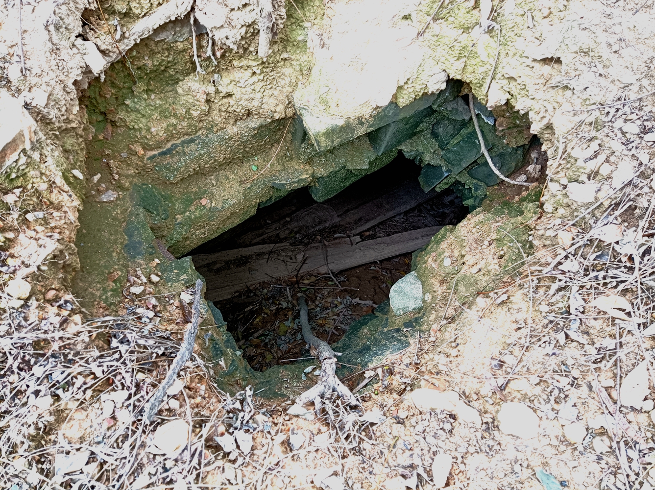There is a robbery hole in a deserted tomb in Lushun - iNEWS