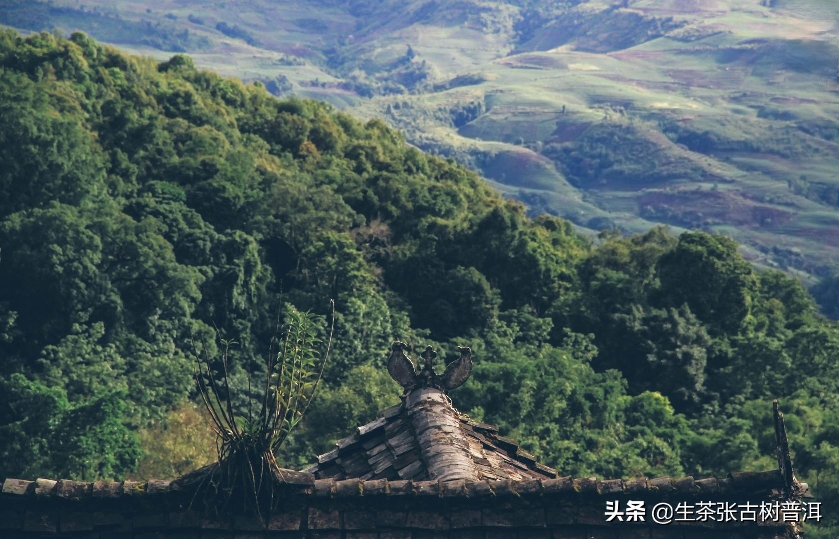 The ancient village of Zhanglang for a thousand years, the most famous ...