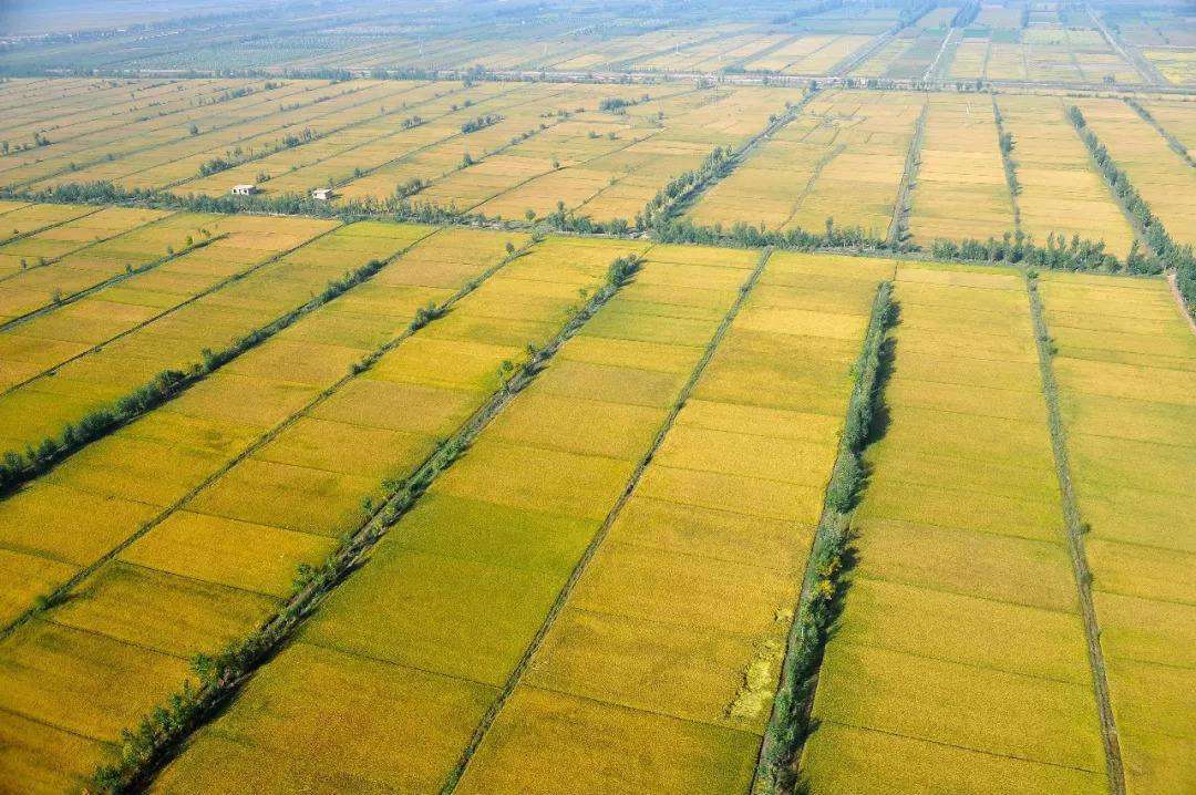 Meng Tian: The first person to develop Wu Zhong - iNEWS