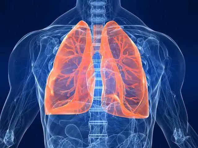 Is vital capacity related to running? How to practice lung capacity ...
