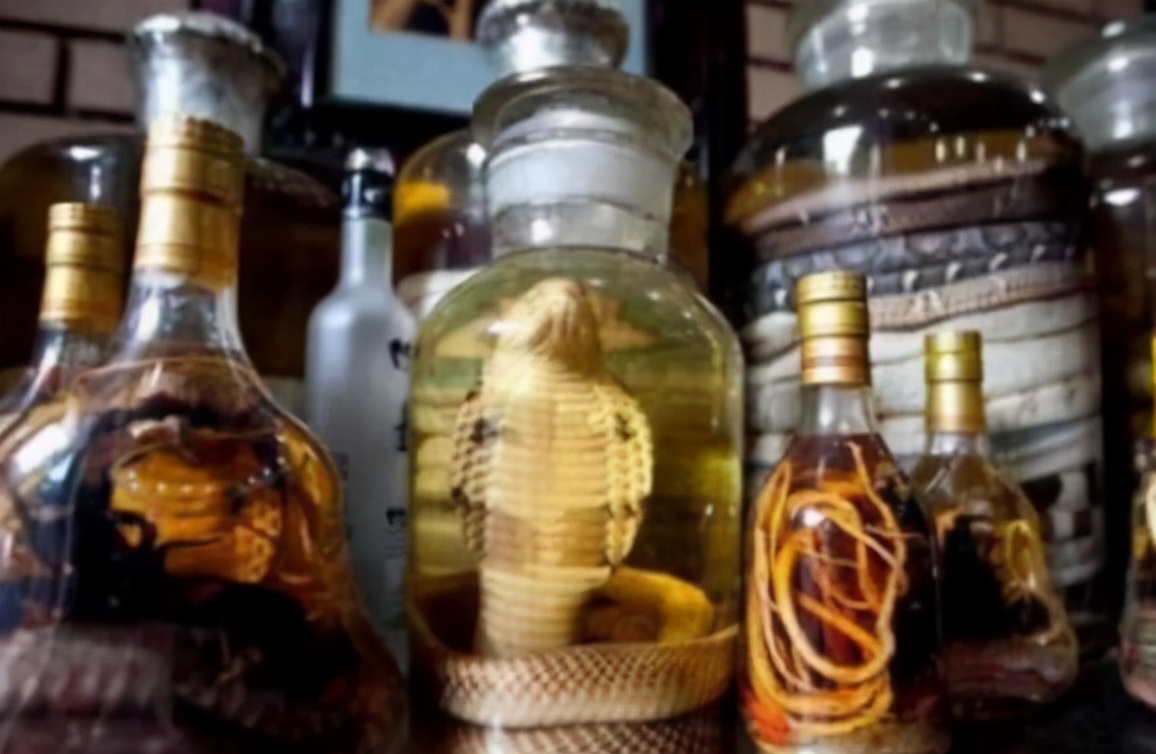 Wine becomes a bath water for snakes?The poisonous snake has been ...