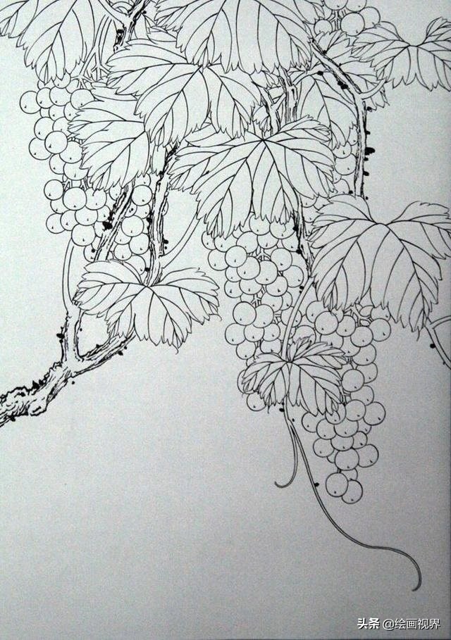 How do beginners draw correctly?Hurry up and collect these rare line ...