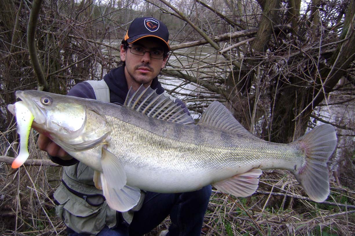 European pike perch flowed into China, and the Soviet Union's "hot ...