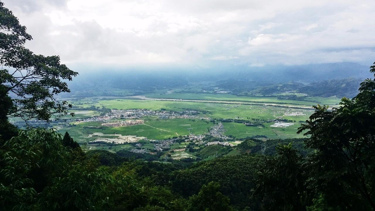 Yunnan Yingjiang newly discovered a poisonous snake, named Bai Suzhen ...