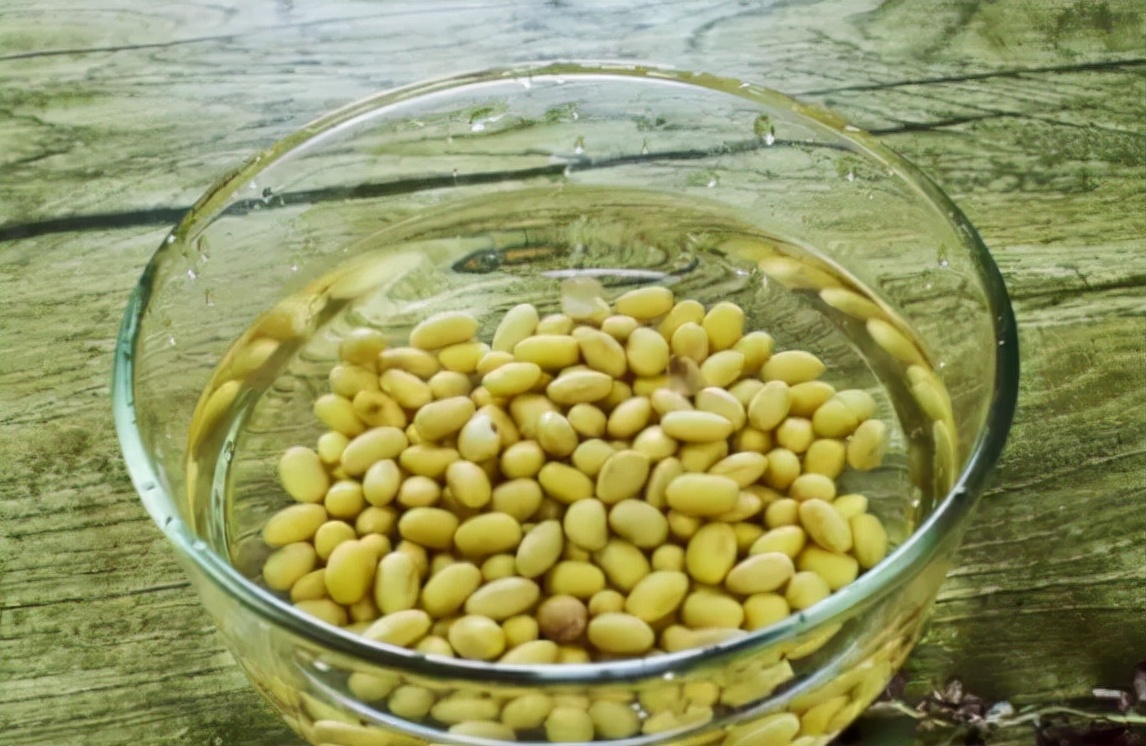 What is the difference between beating soy milk, "dry beating" and "wet ...