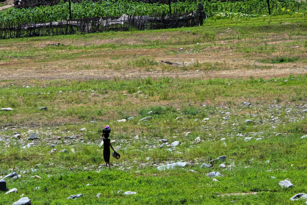 Impression of North Korea, what kind of life do North Korean rural ...
