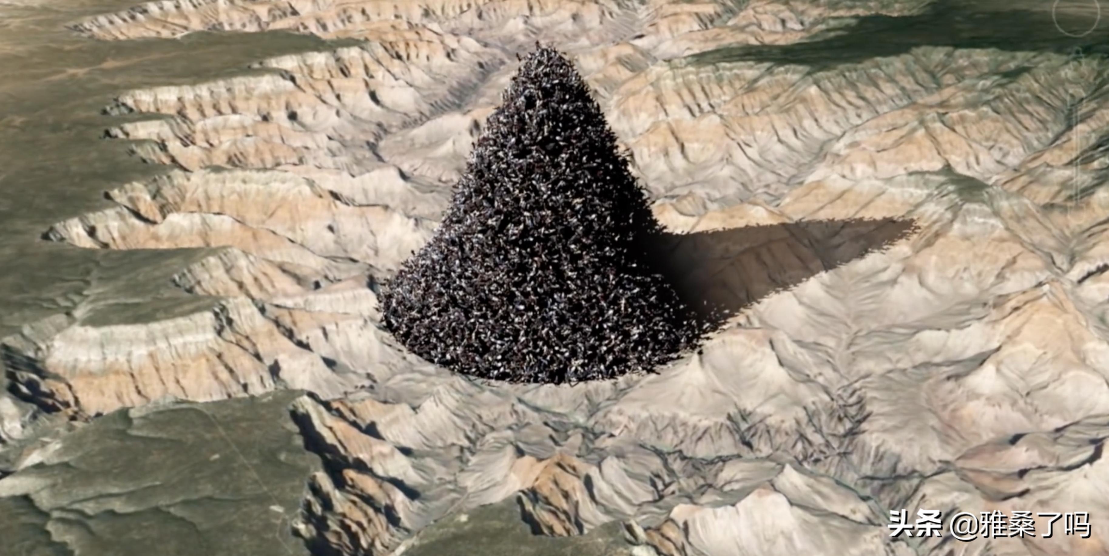 How big is it to squeeze 7.9 billion humans into one meatball?The way ...