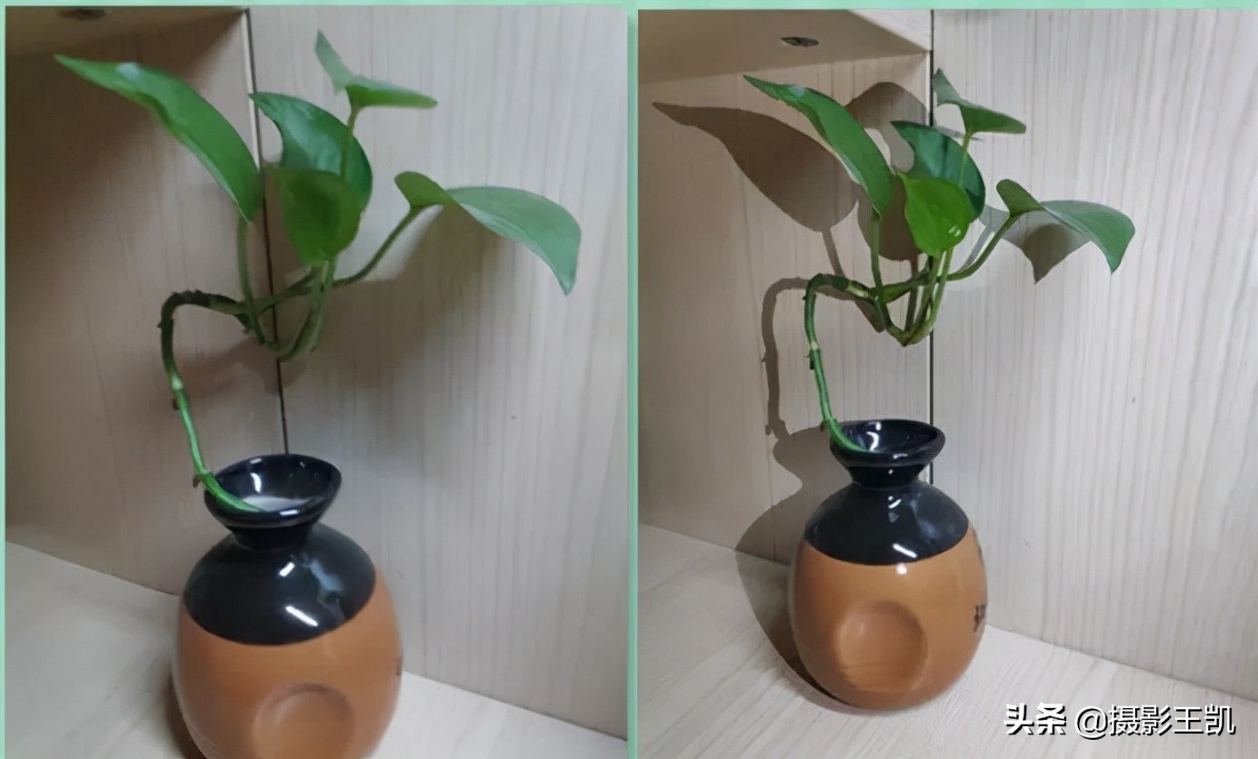 Zero basics photography: how to shoot in low light environment? - iNEWS