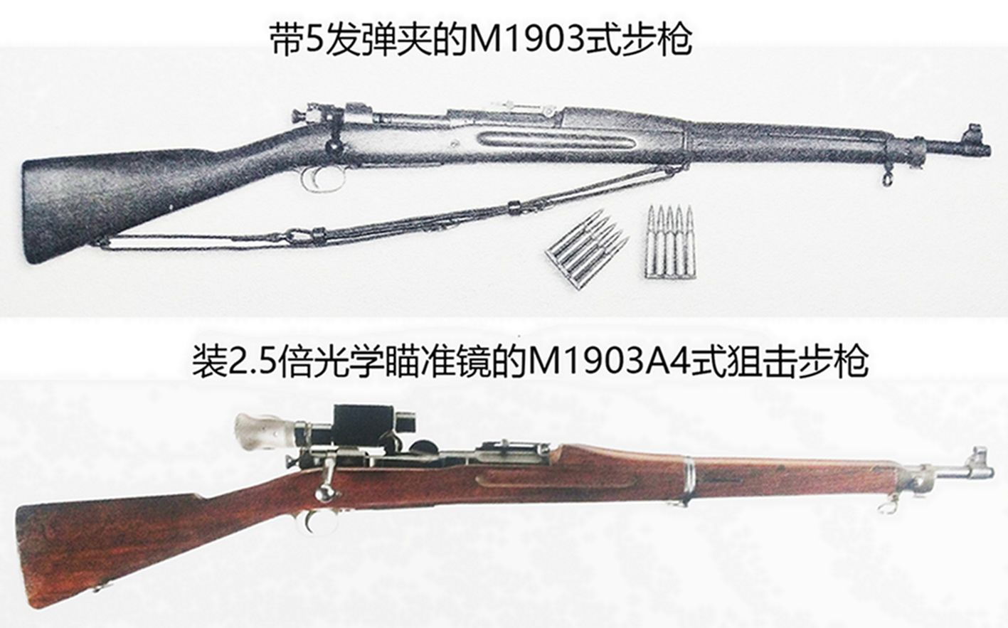 The M1903 "Springfield" Rifle of American Light Weapons in World War II ...