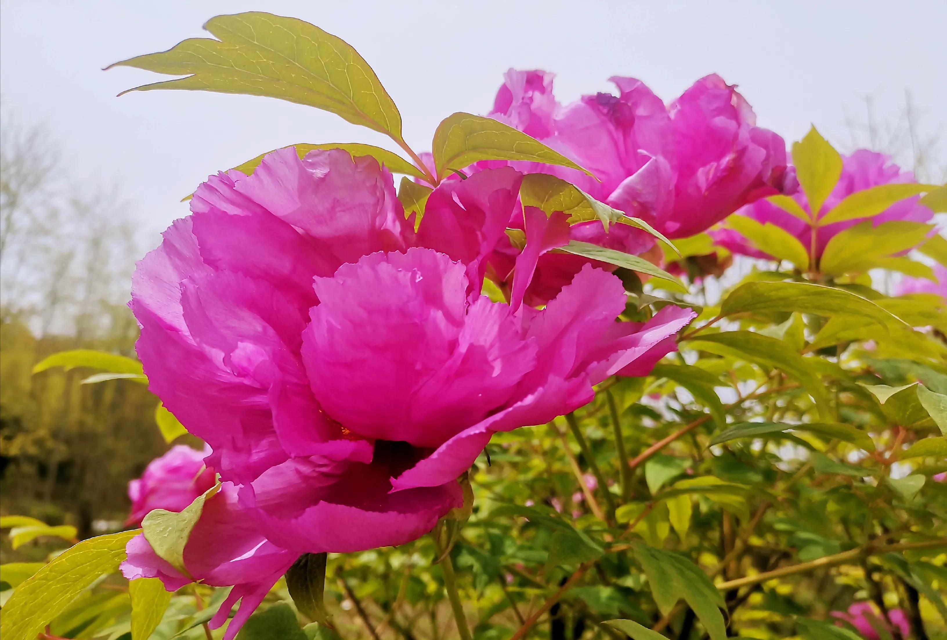 The most beautiful April day in the world, a good time to enjoy the ...