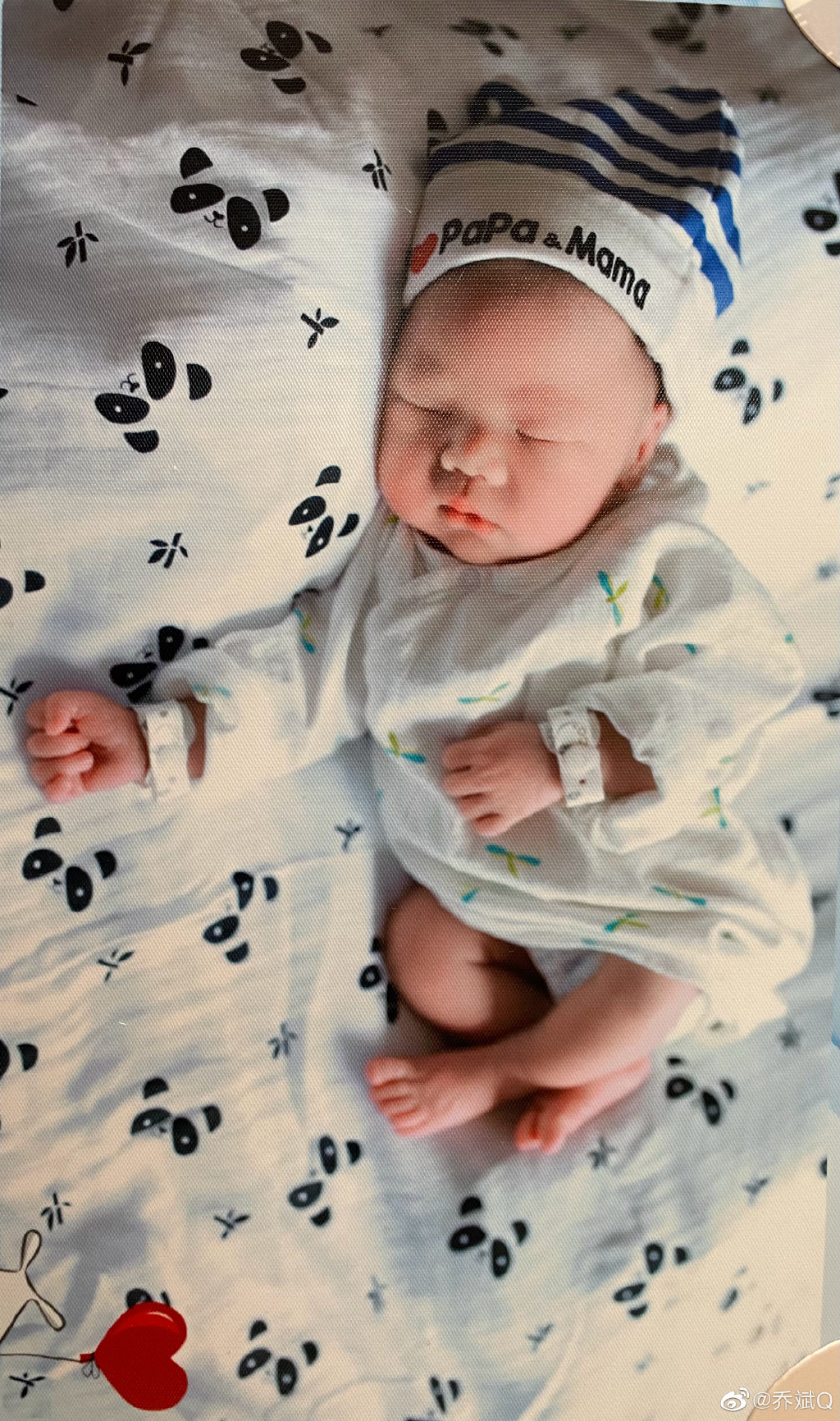 Congratulations!Guoyu World Champion Couple announced the birth of a ...