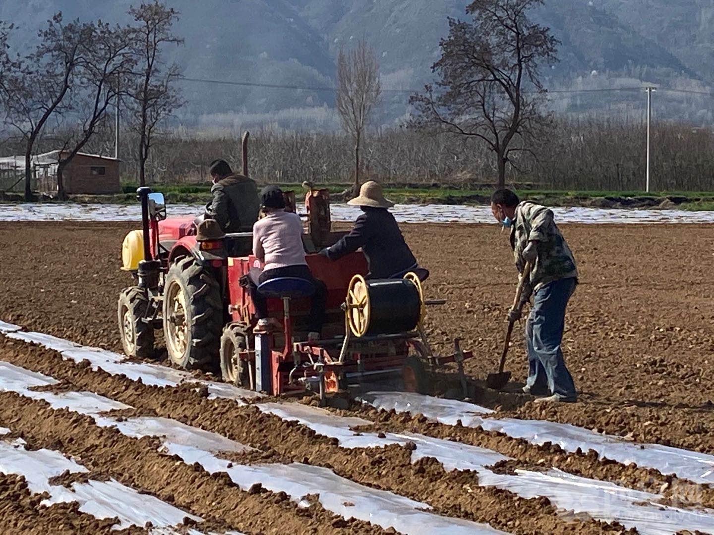 Research on Agricultural Mechanization and Agricultural Labor Flow - iMedia