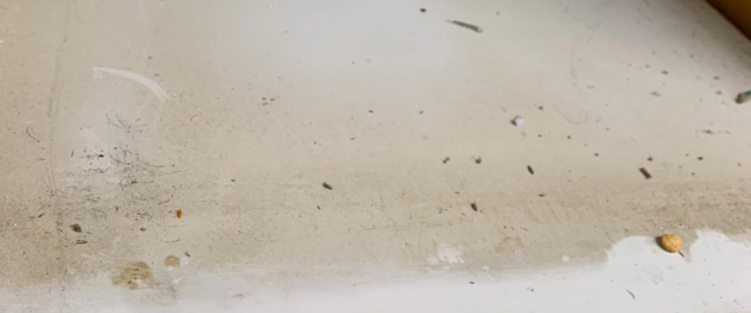 What should I do if there is always "flying dust and fluff" at home ...