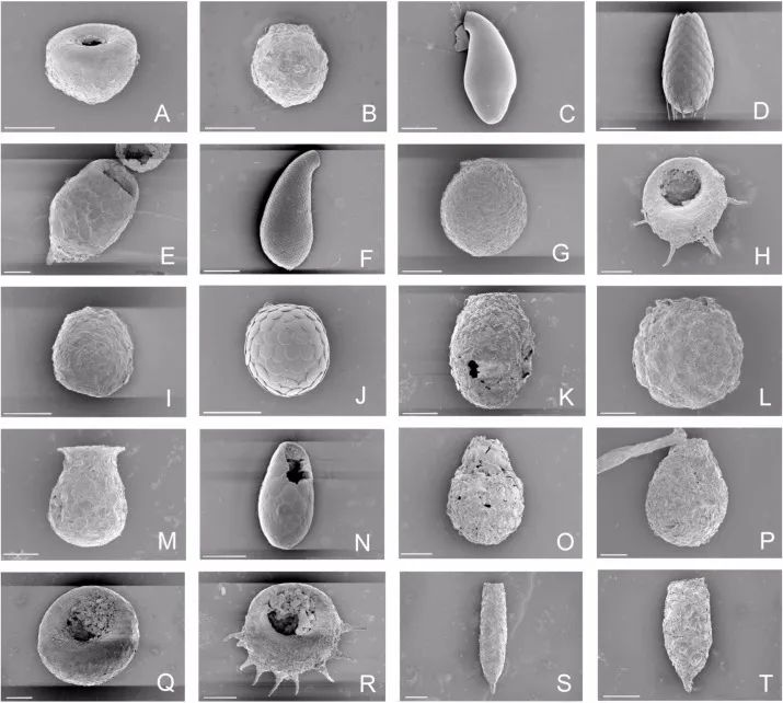 人和自然对泸沽湖有壳虫群落产生的影响_水质调理网_西南渔业网 水花鱼 水产养殖专业网 渔业行业门户网 西南水产网 第一线养鱼网 丰祥渔业网 永川水花网为您服务！