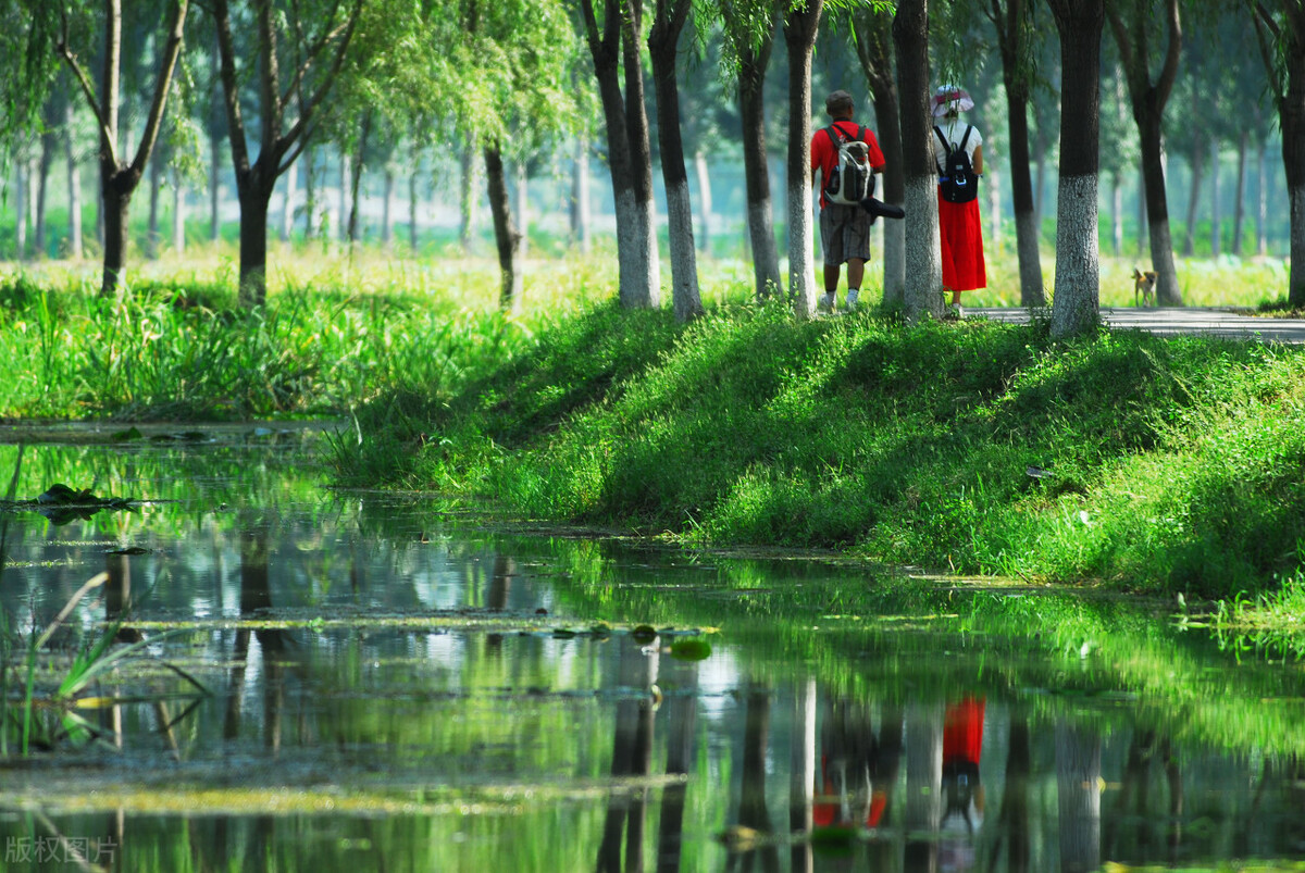 Beijing's rural tourism industry accelerates its take-off - iNEWS