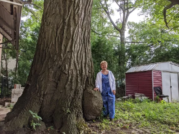 "Got more money"!The government wants to buy a house protection tree ...