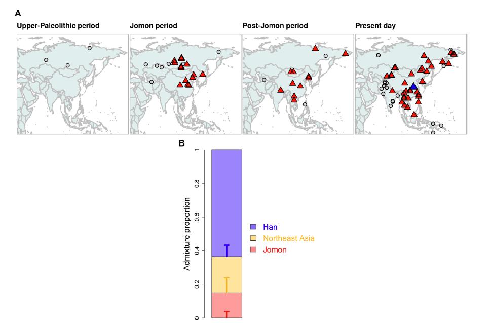 "Science": Ancient Japanese DNA shows that Japanese ancestors mainly ...