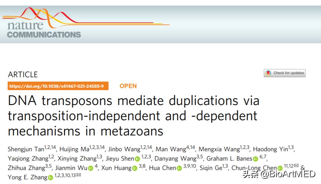 Zhang Yong's research team collaborates to reveal animal transposon ...