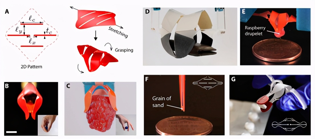"Science Sub-Journal" kirigami shell hydrogel gripper - iNEWS