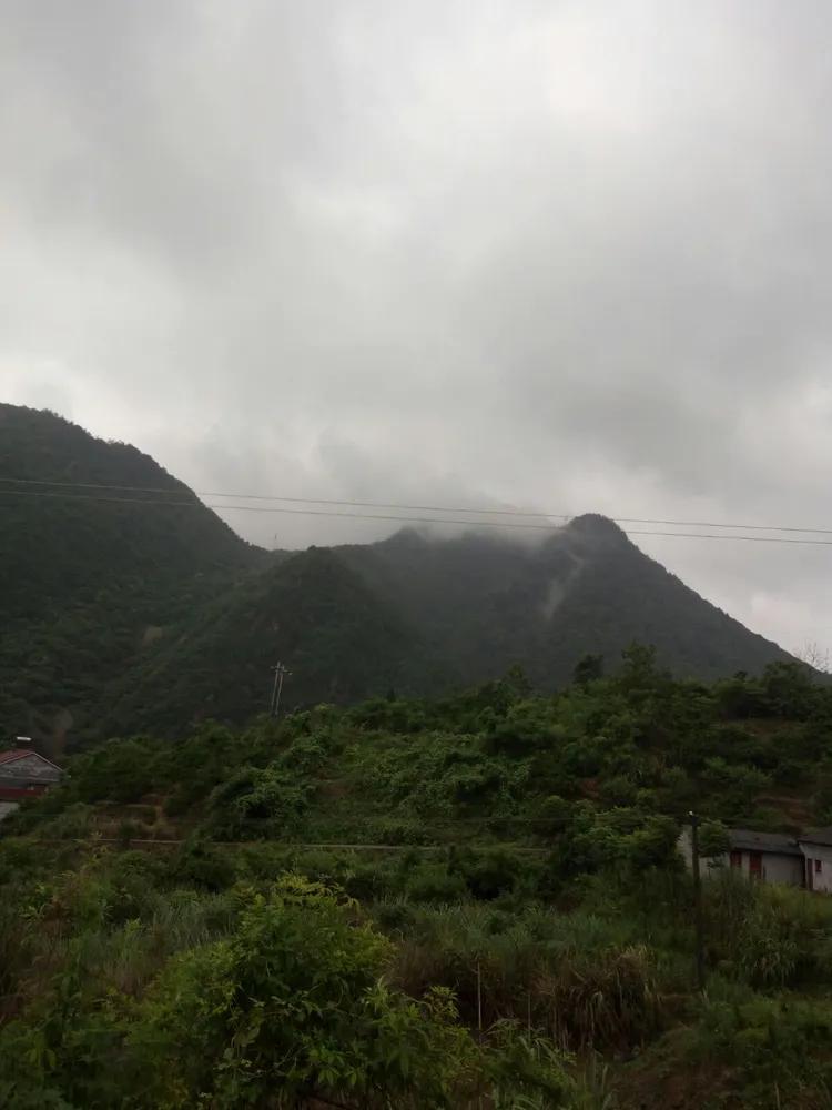 Will the wind remember that flower? The fragrance-the beautiful scenery ...