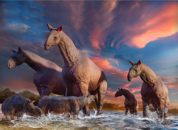 The eight animals with the longest necks in the history of the earth ...