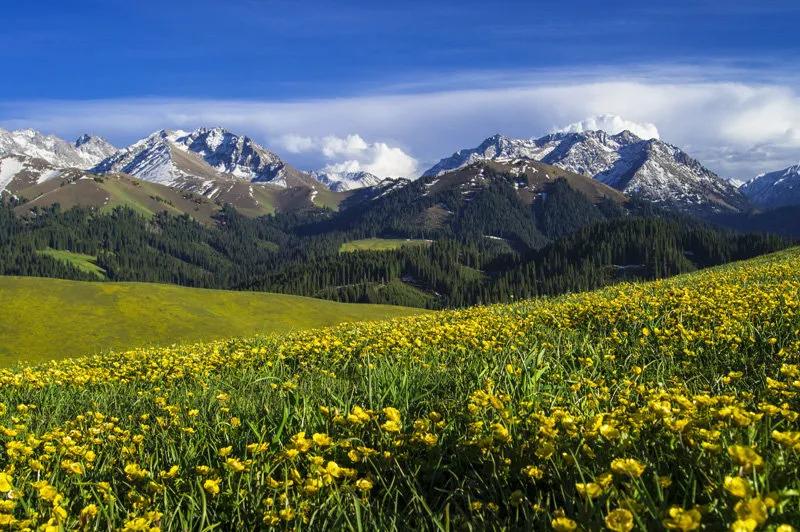 Psychology: Broken Window Effect - iNEWS