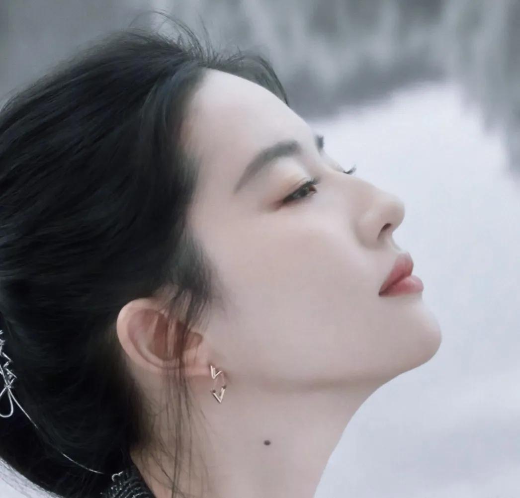 Liu Yifei, exquisite features, extraordinary temperament, beautiful ...