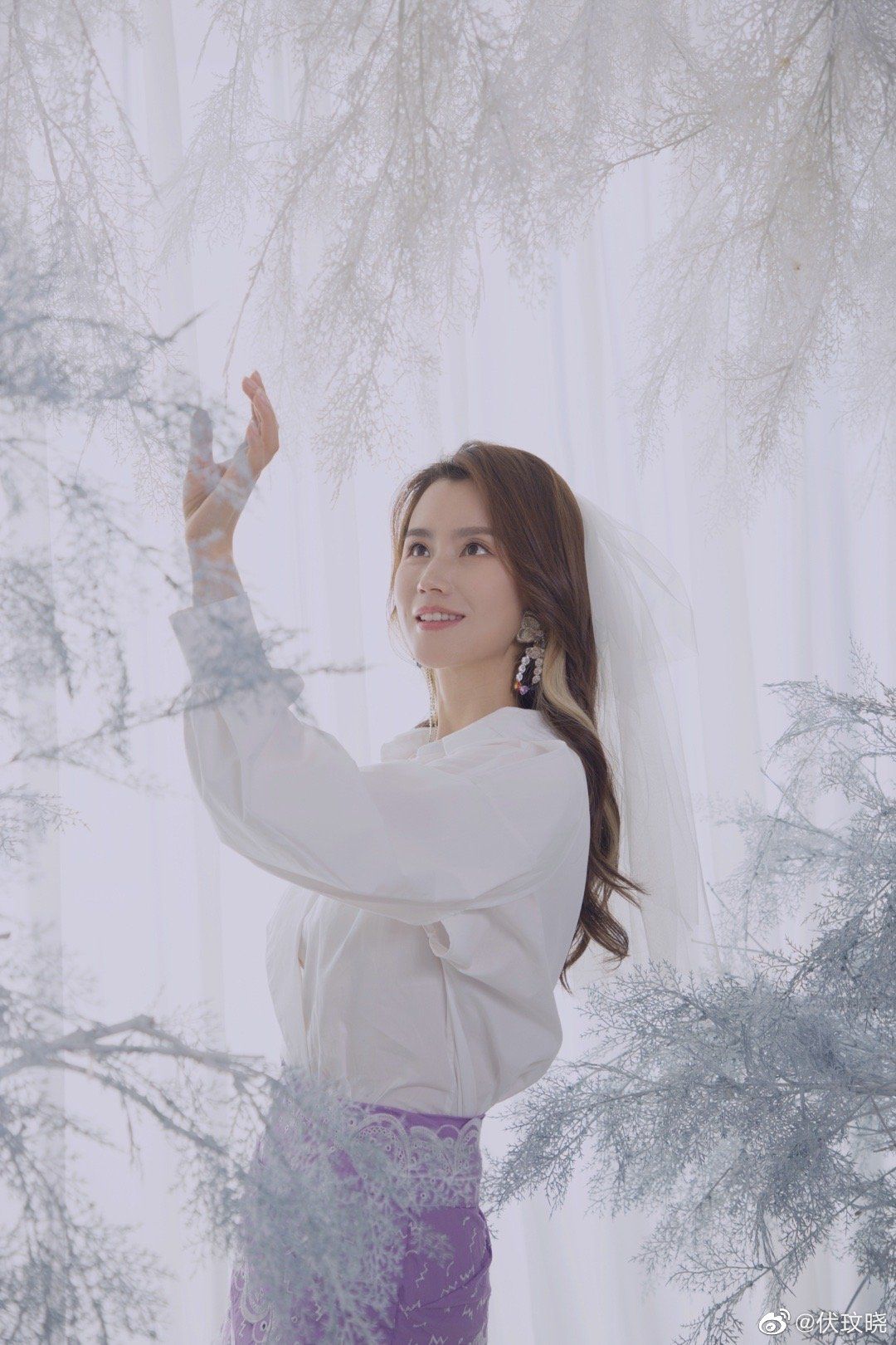 One of Baili's hosts, Fu Wenxiao, has beautiful photos, white and ...