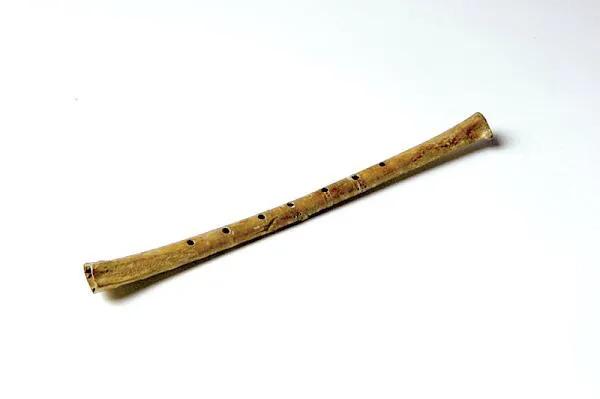 The oldest musical instrument-the bone flute - iNEWS