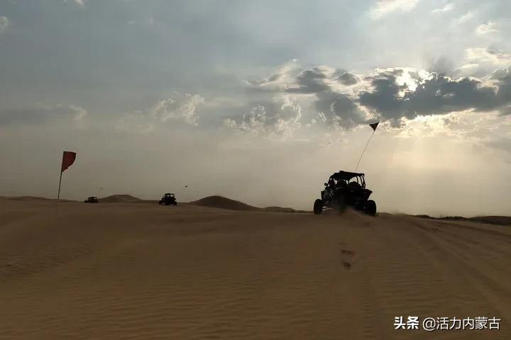 Kubuqi Desert Green Gold - iMedia