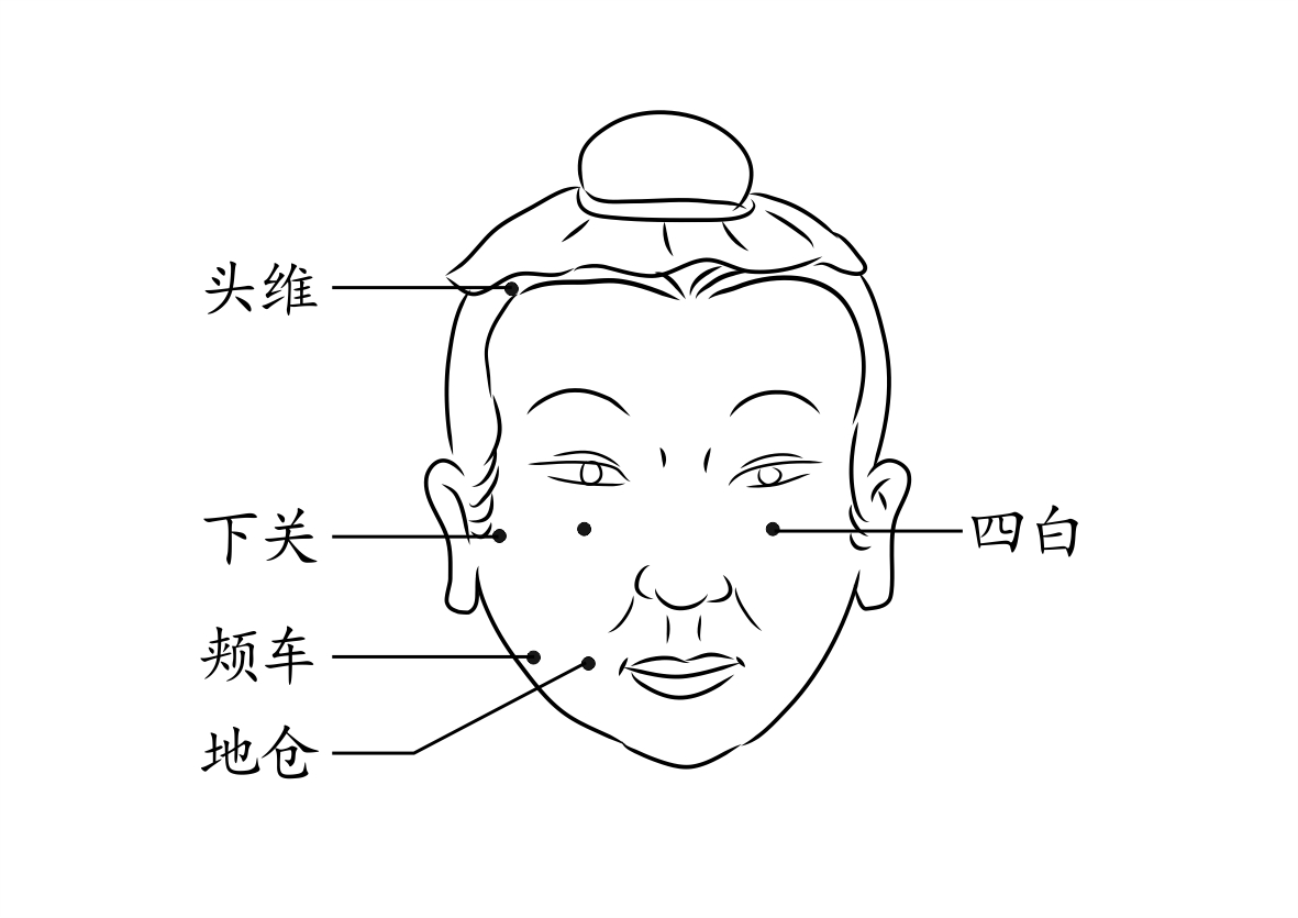 The third meridian of health maintenance: Foot Yangming Stomach ...