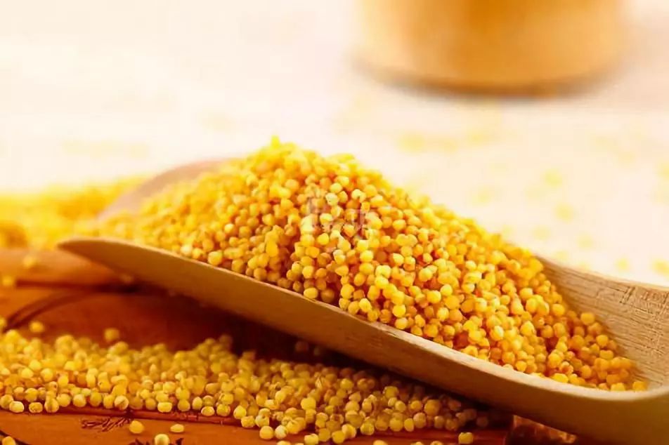 Where is the best millet in China?Please recognize these 4 producing ...
