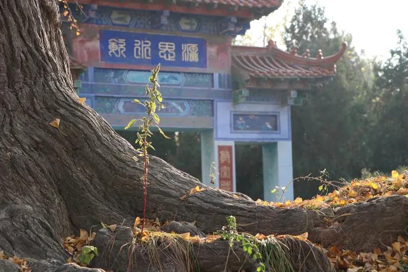 Jiang's Ancestral Hall in Lanshan District: A Century of Ginkgo Dyeing ...
