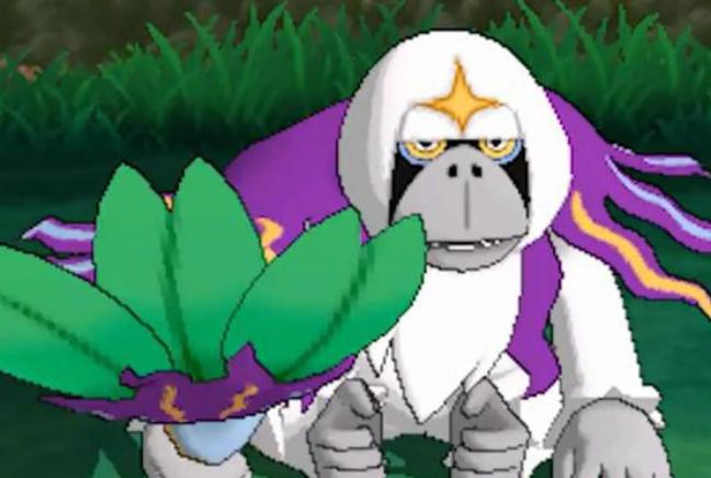 "Pokémon" talks about the supporting abilities of the Chi-Chi Ape under ...