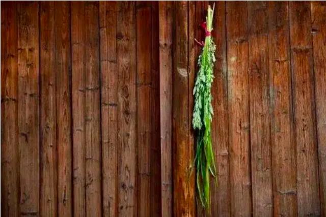 Hanging wormwood during the Dragon Boat Festival is more important ...