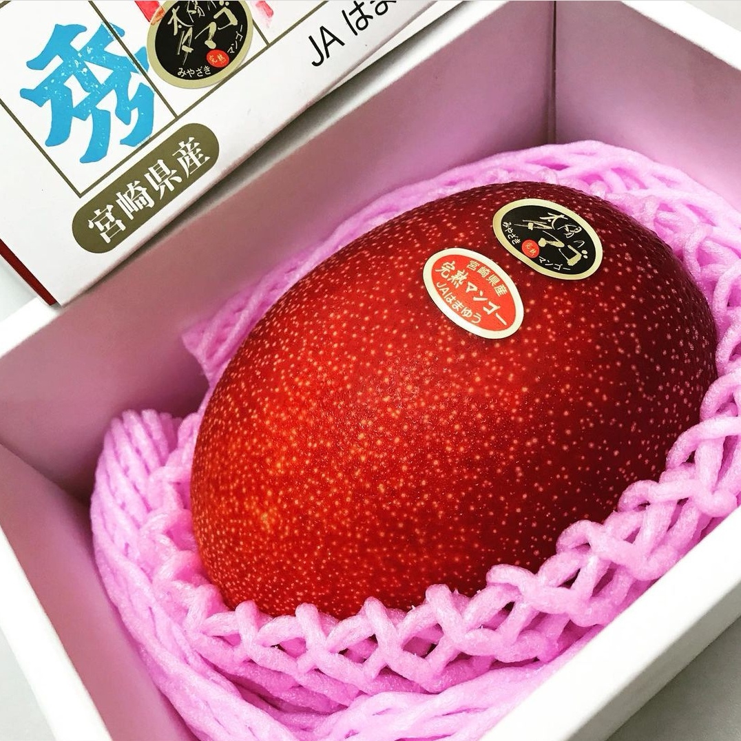 Two Japanese "son of the sun" mangoes sold for 12,000 yuan, Japanese ...